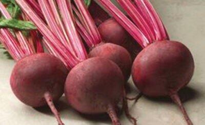 Beetroot - SPS Austraila